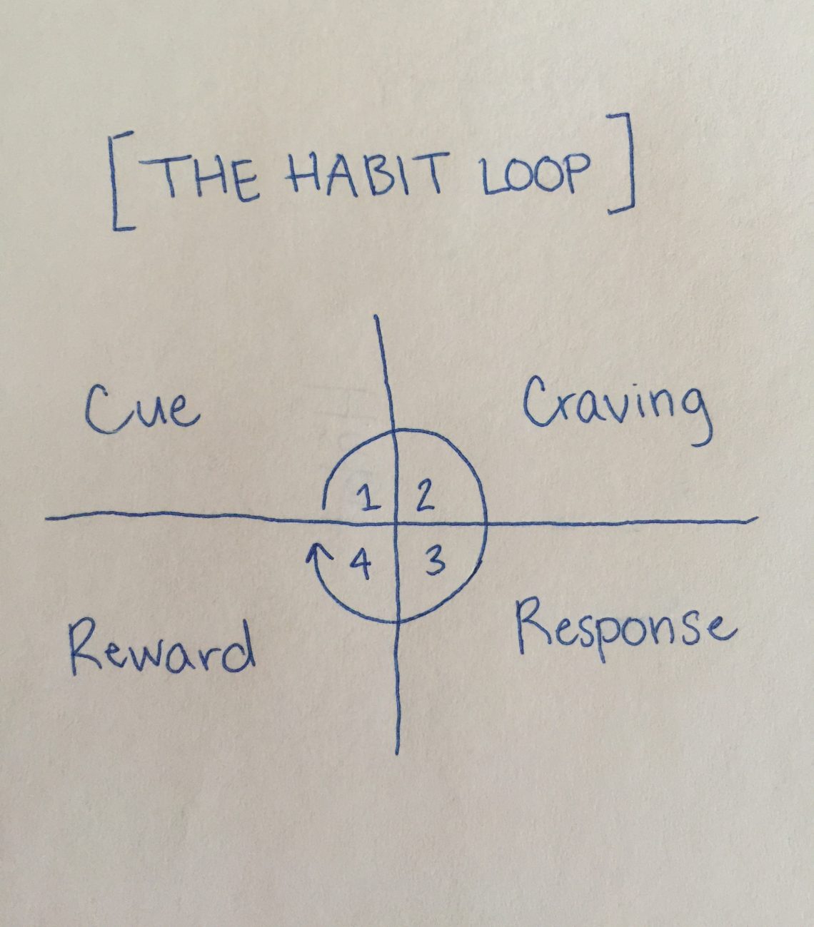 Habit Formation & The Reward System & Change – Leona's Education Blog